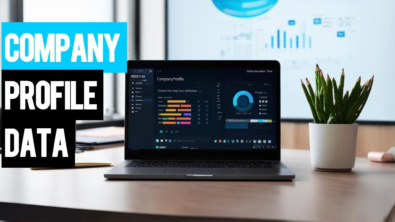 What is Data Profiling? Definition, Tools and Examples - MagicalAPI